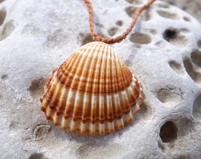 Seashell Beach Necklace Natural Shell Jewelry Summer-themed Pendant ...