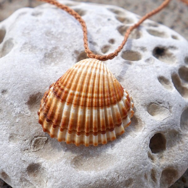 Seashell Jewelry - Etsy