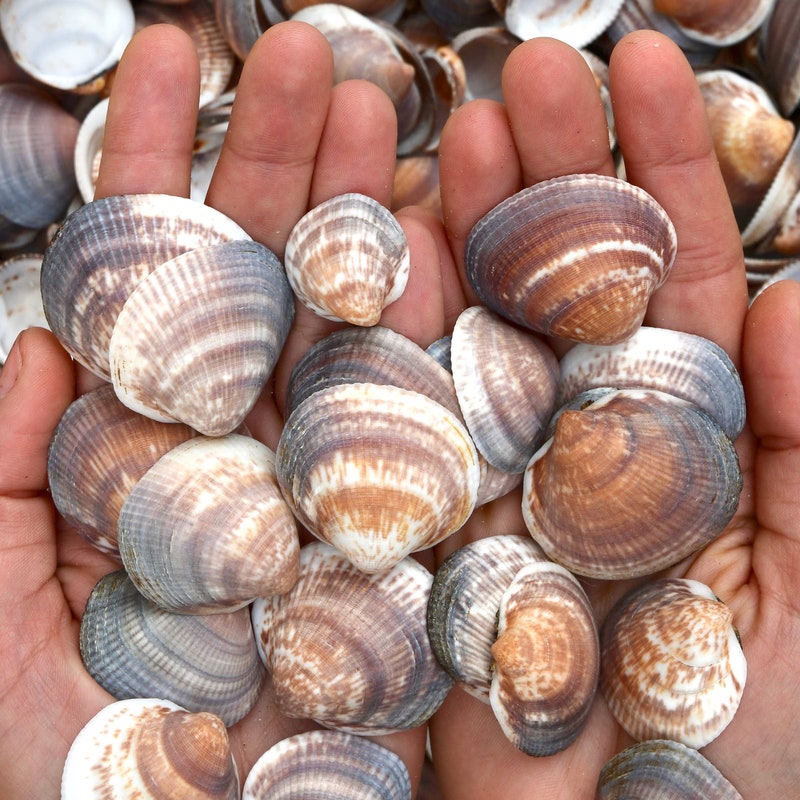 MessyWorkshop - Etsy