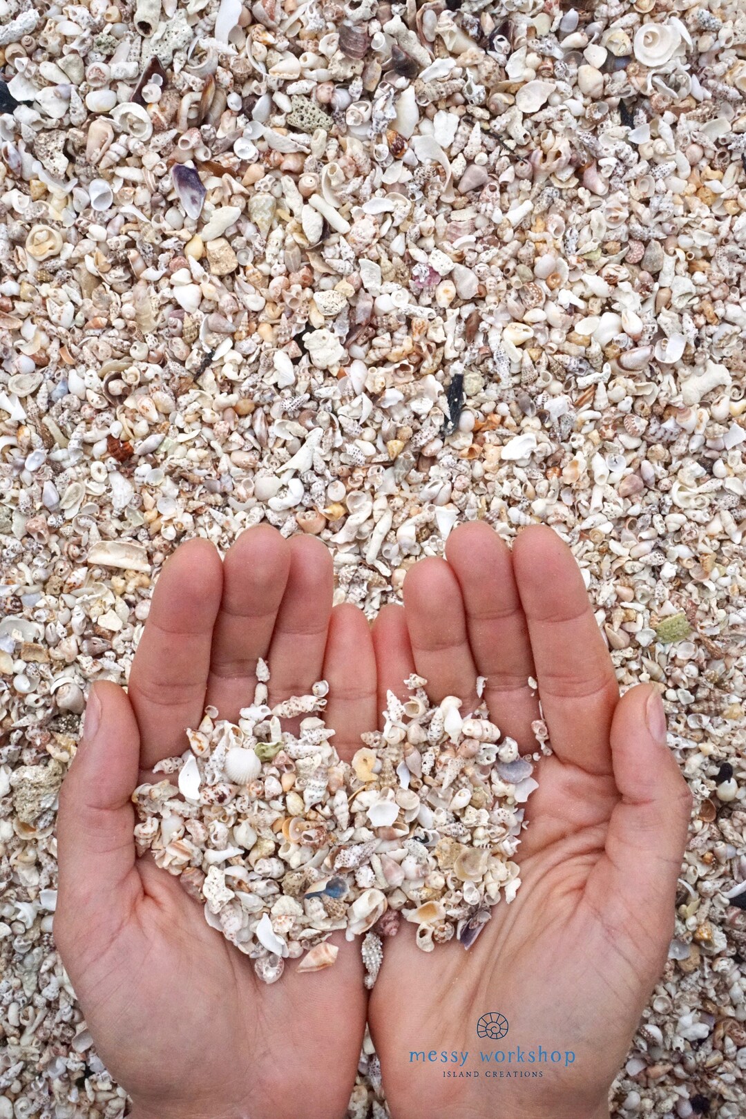 Tiny Seashell Craft Mix * Seashells for Fairy Garden * Hand-collected ...