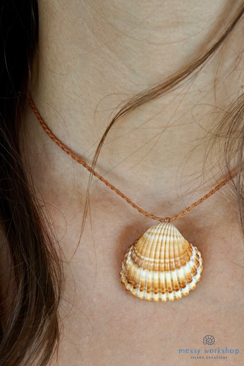 Seashell Beach Necklace Natural Shell Jewelry | Etsy