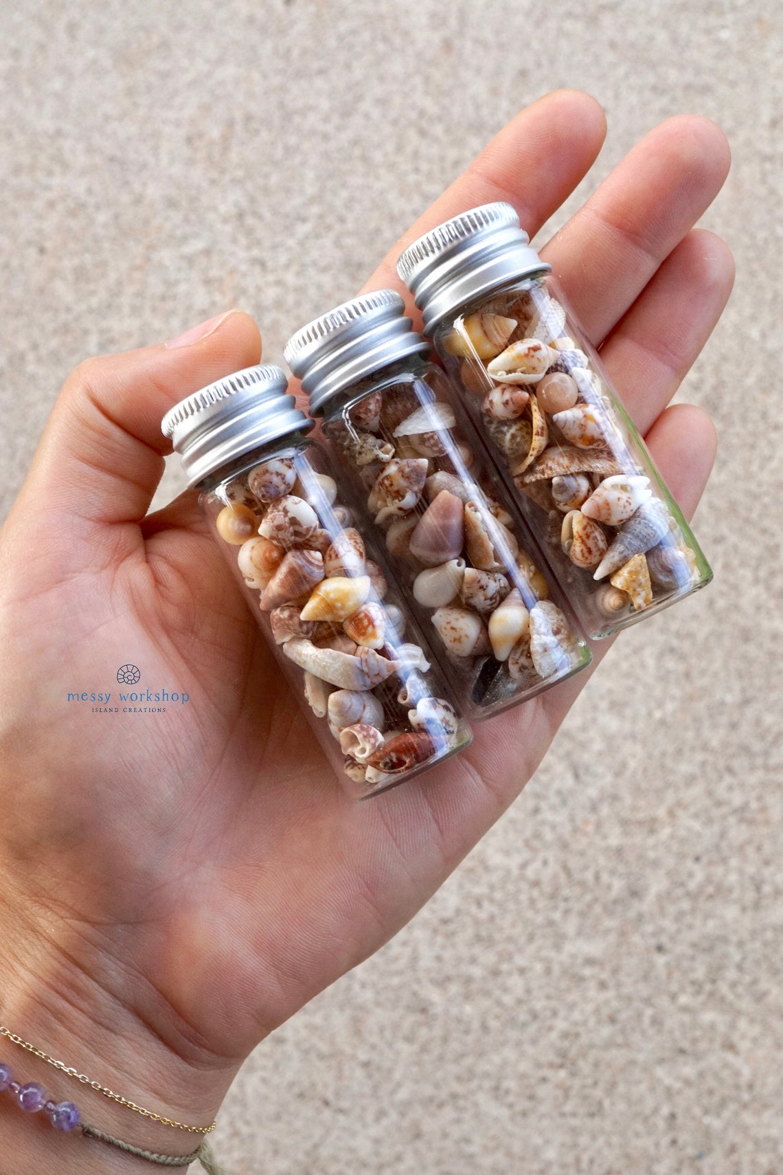 Petite Seashell Craft Mix * Miniature Seashells for Crafts * Tiny ...