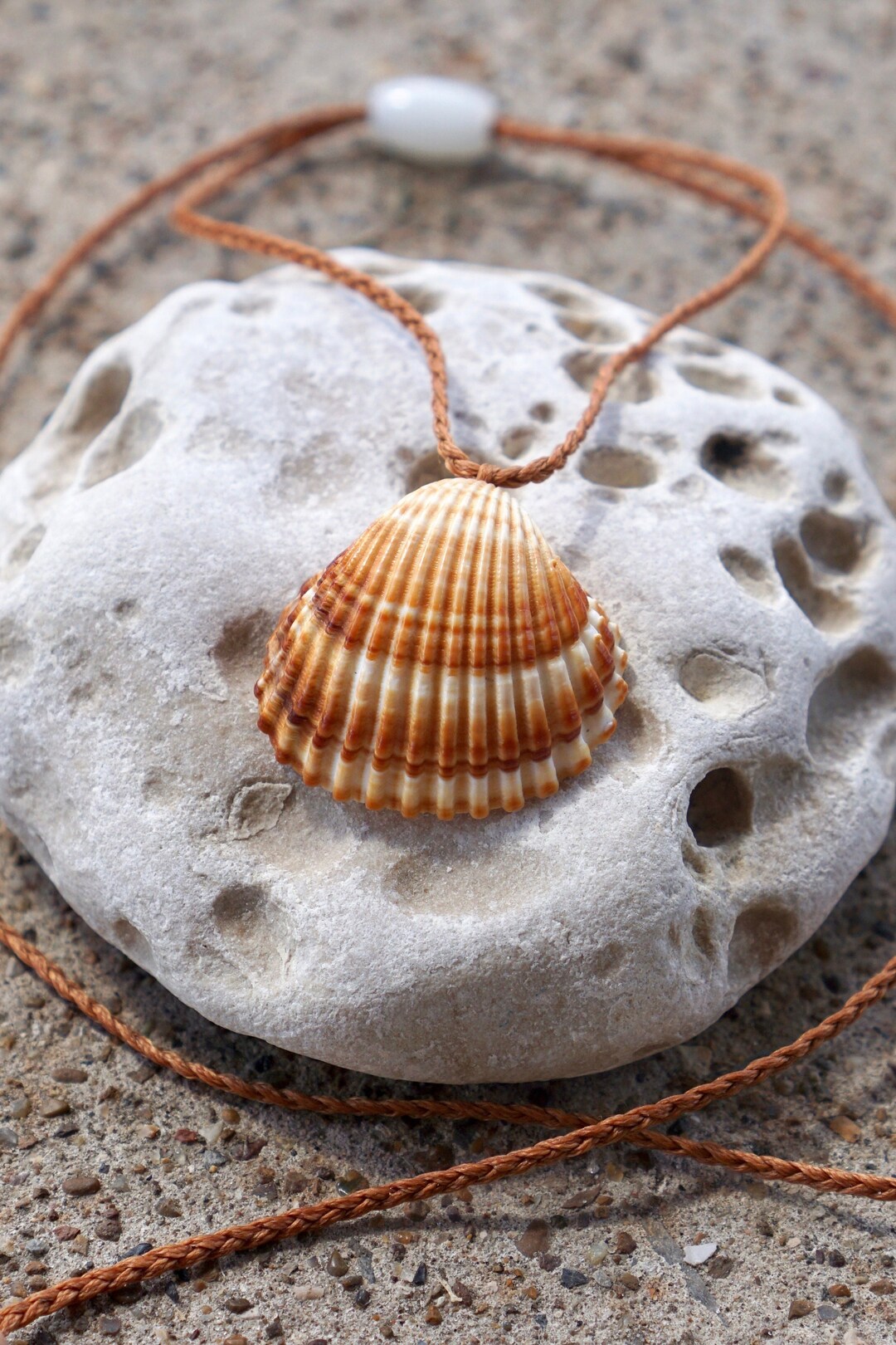 Seashell Beach Necklace Natural Shell Jewelry Summer-themed Pendant ...