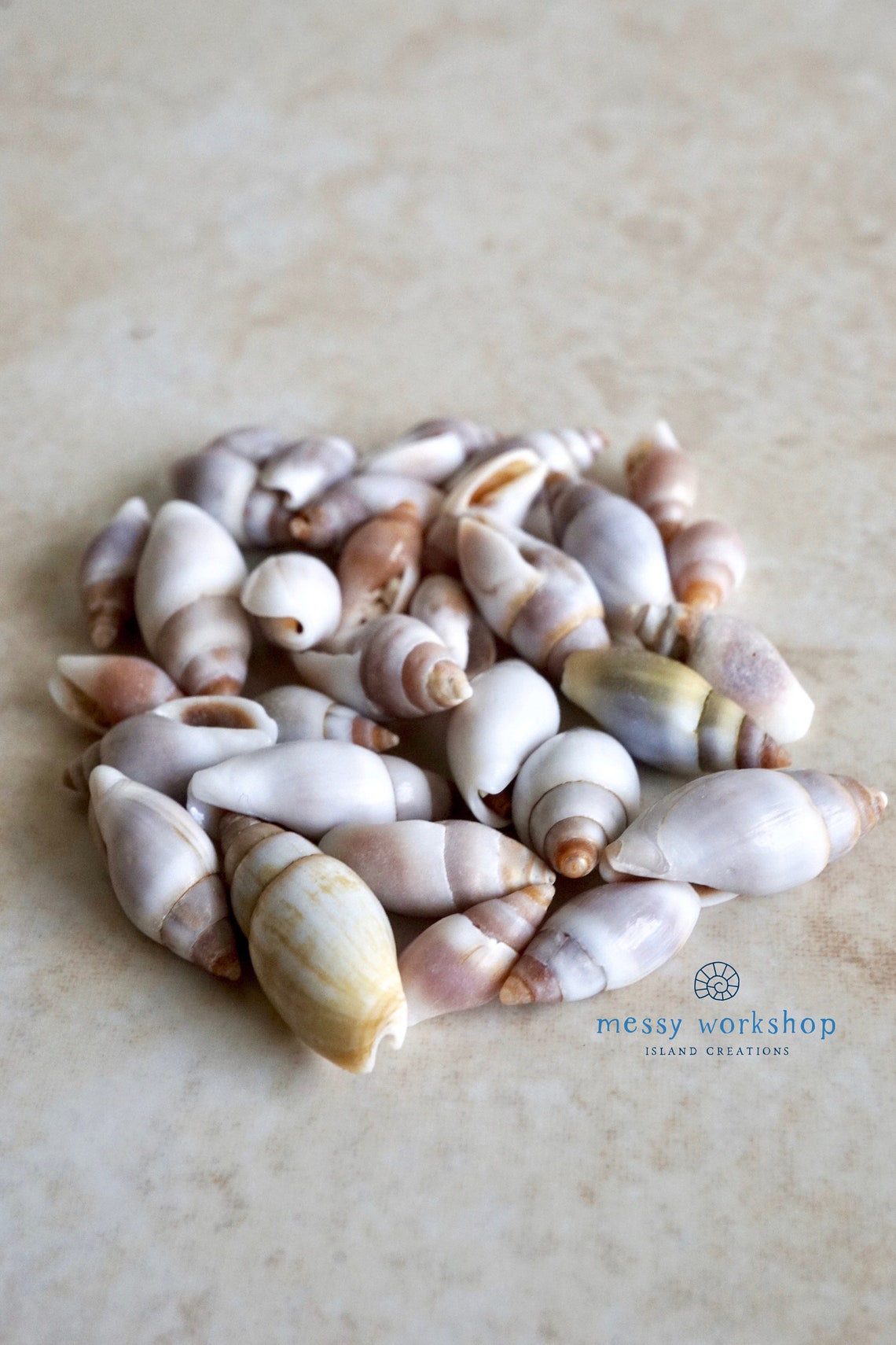 Petite Seashell Craft Mix Miniature Seashells for Crafts | Etsy