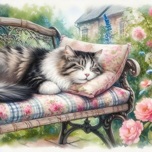 50 Images Sleeping Cat on Bench Images Digital Art Printable Instant ...