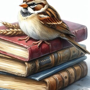 72 Images Birds and Books: Digital Art, Printable Download, Ephemera ...