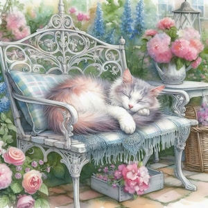 50 Images Sleeping Cat on Bench Images Digital Art Printable Instant ...