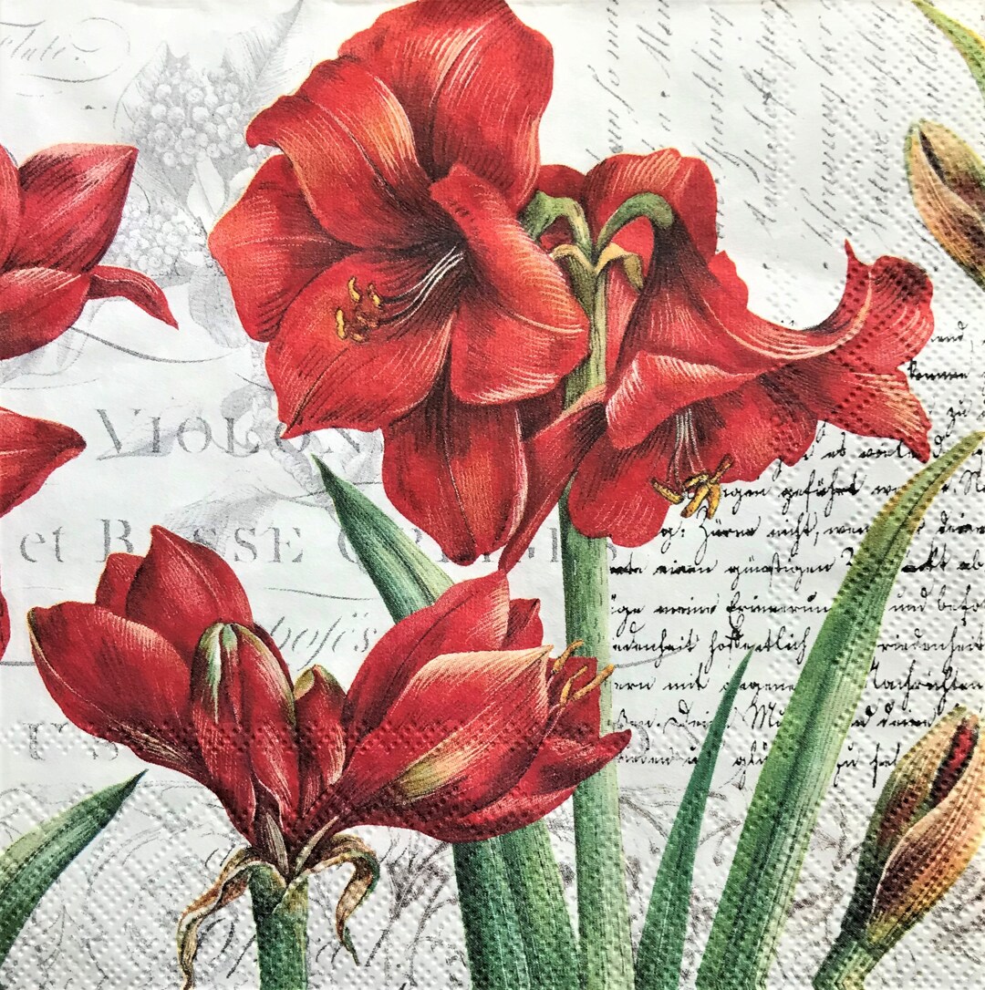 Decoupage Napkins, 6.5" X 6.5", Red Amaryllis Napkin, Decoupage Art ...