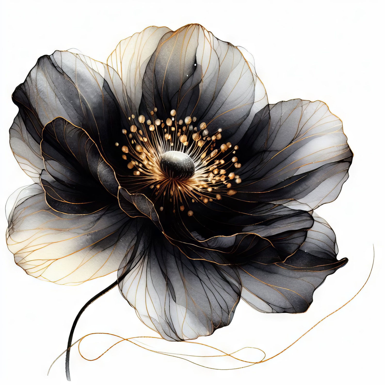 55 Images Gold Edged Flower Images Digital Kit Digital Art Printable ...