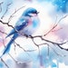 36 Images Winter Birds Digital Printable Instant Digital Art Download ...