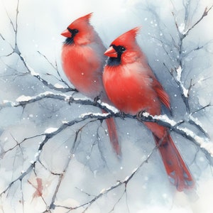 63 Images Cardinal Images Bird Digital Art Printable Instant Digital ...
