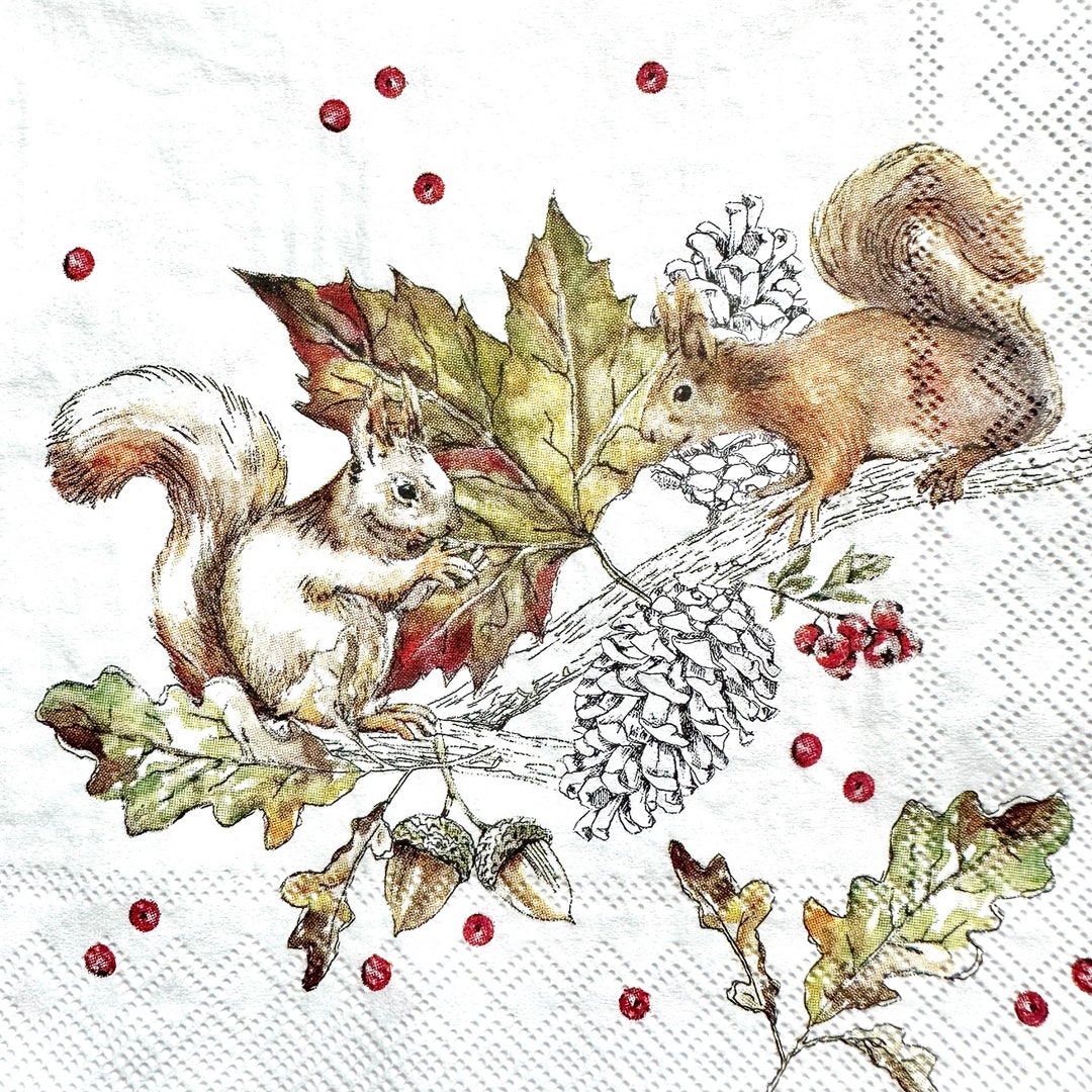 Decoupage Napkins, 5 X 5, Squirrels With Pine Cones and Acorns Napkin ...