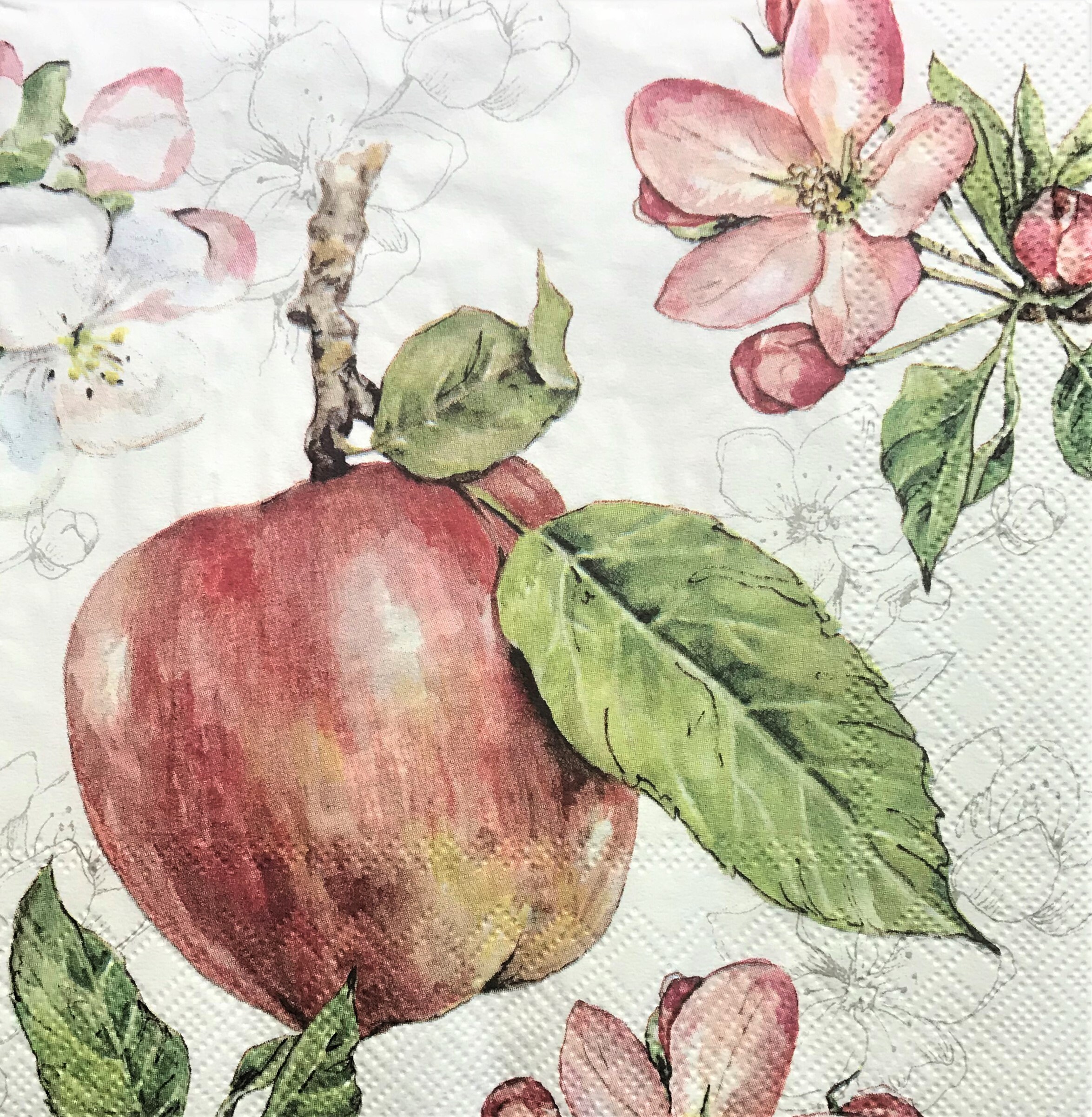 Decoupage Napkin 6.5 X 6.5 Apples and Blossoms - Etsy