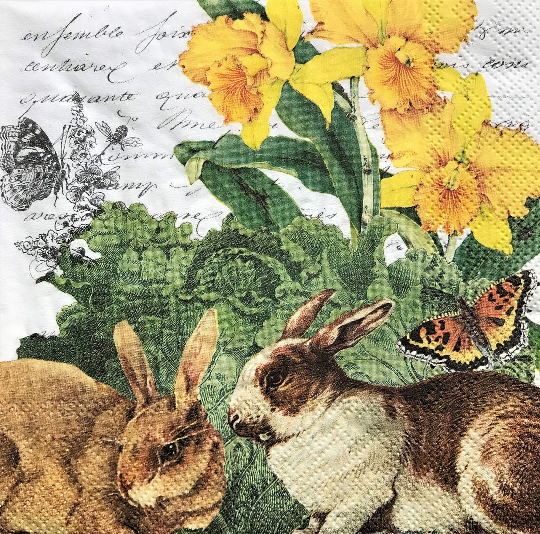 Decoupage Napkins, 5 X 5, Rabbits With Daffodils, Decoupage Napkin ...