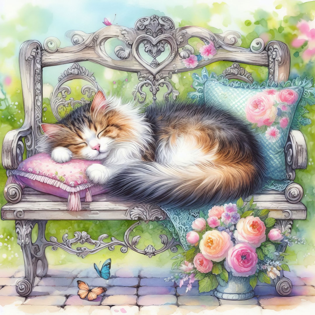 50 Images Sleeping Cat on Bench Images Digital Art Printable Instant ...