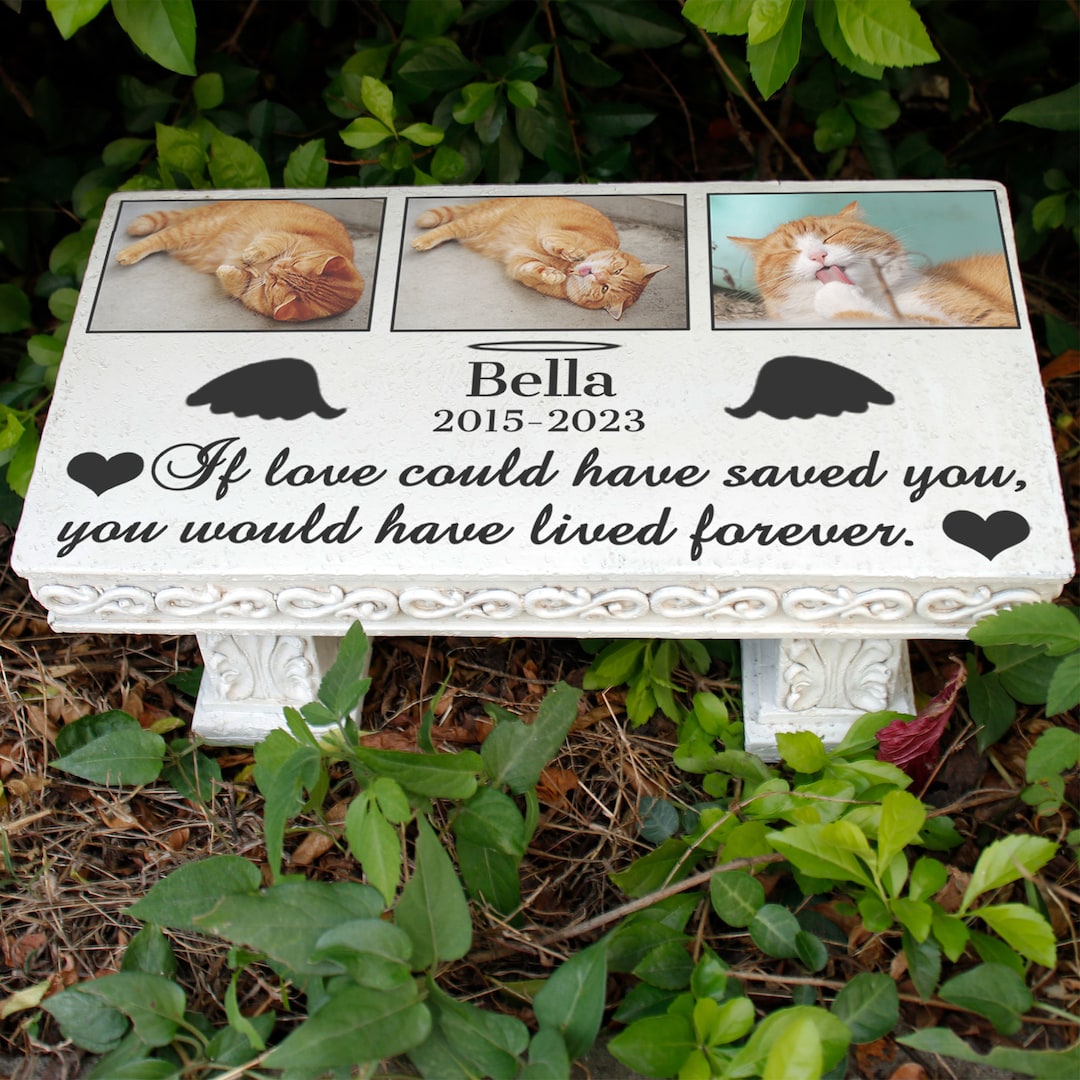 Personalized Bench Pet Memorial Garden Stone Plaque With Colorful Photo ...