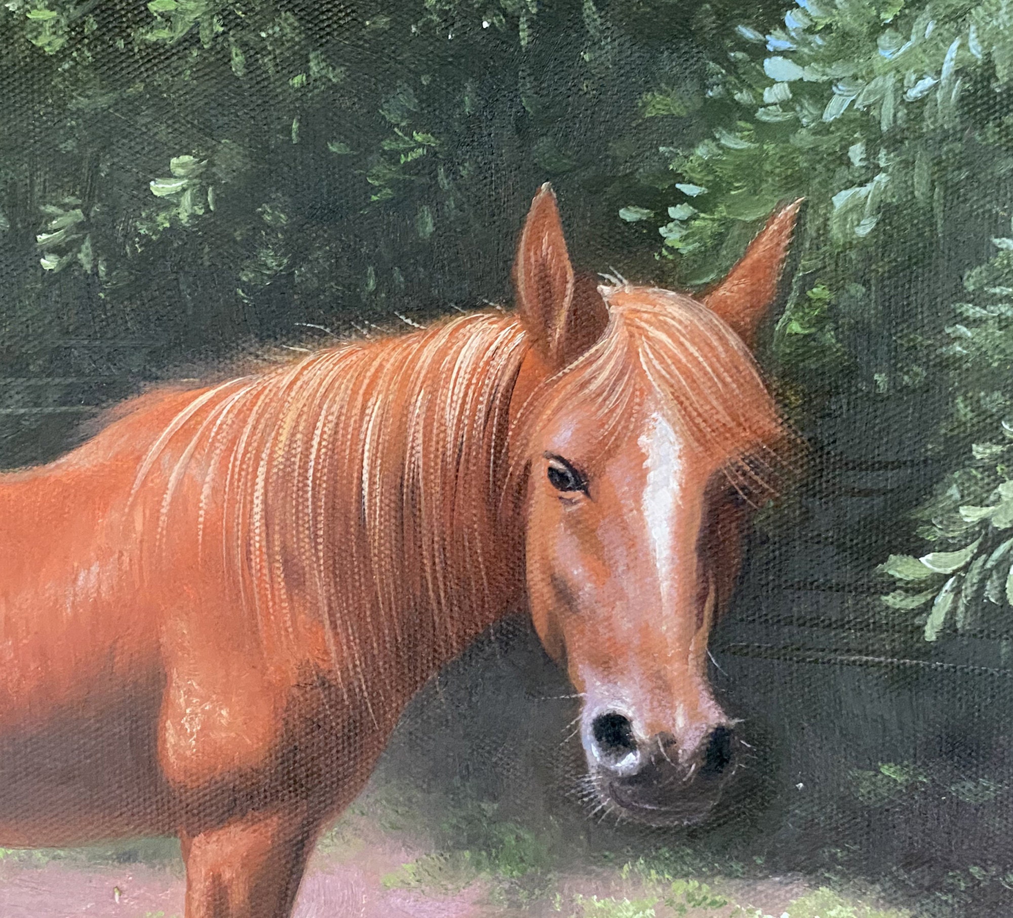 Custom Horse Painting Hand Painted Horse Oil Painting - Etsy