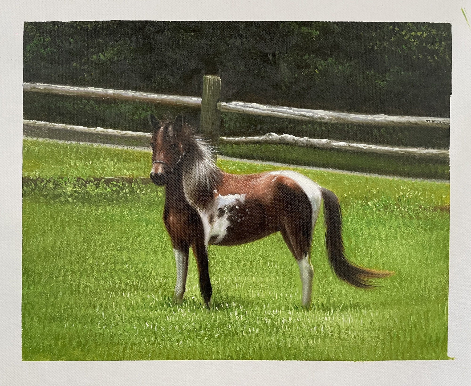 Custom Horse Painting Hand Painted Horse Oil Painting | Etsy