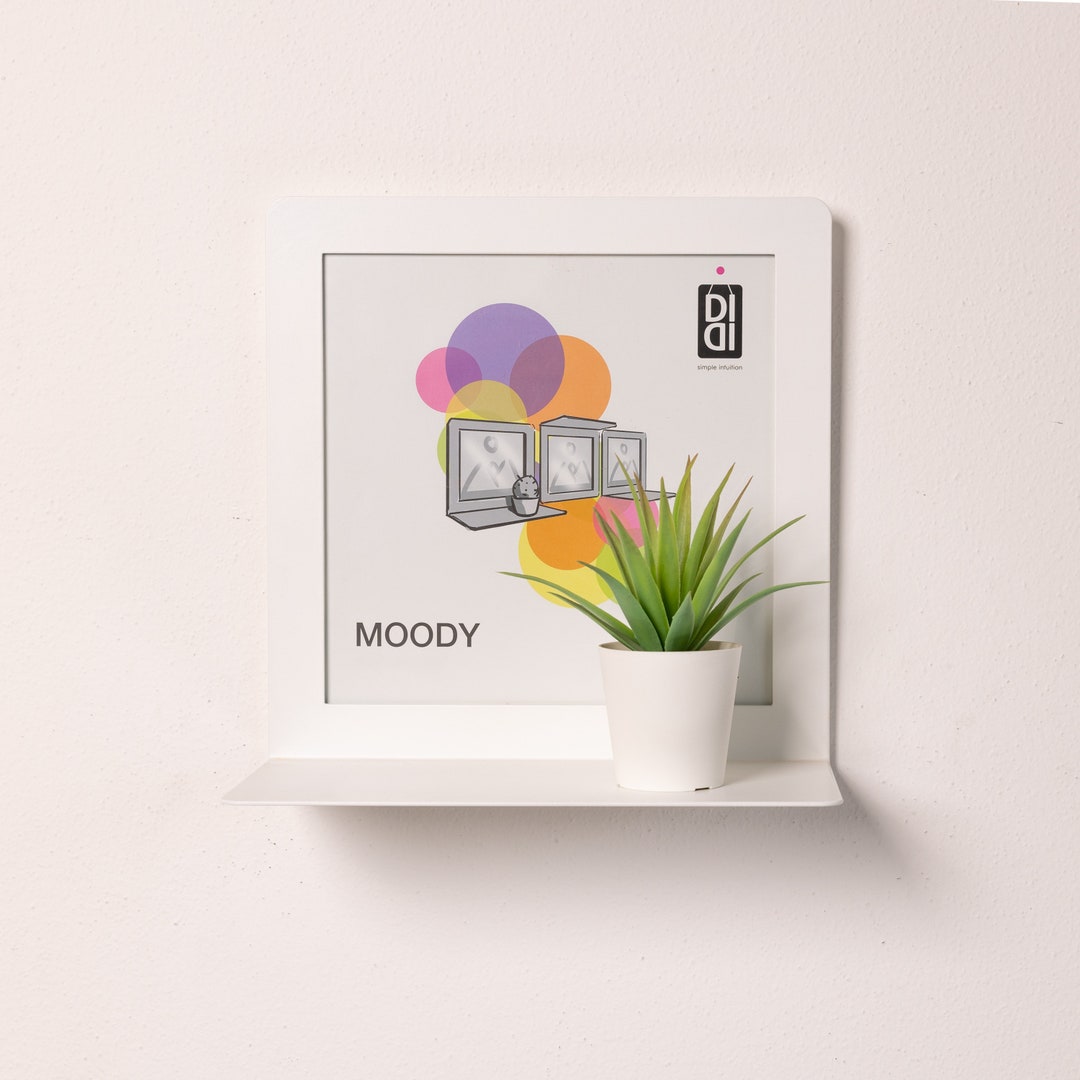 Elegant Curved Metal Sheet Frame With 2 Mm Glass Display Perfect for ...