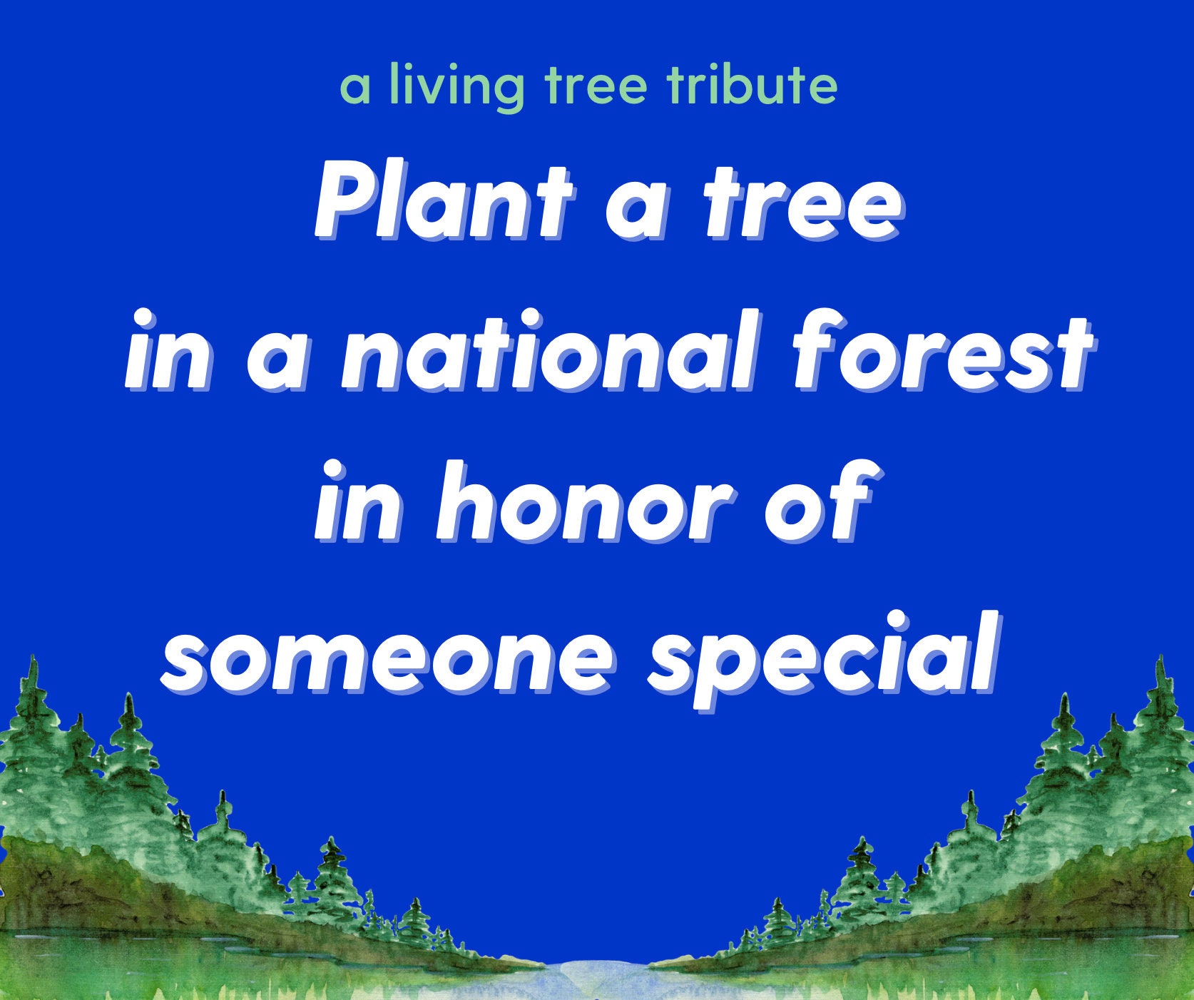 Living Tree Tribute: Sympathy Funeral Gift Commemorative, Memorial Tree ...