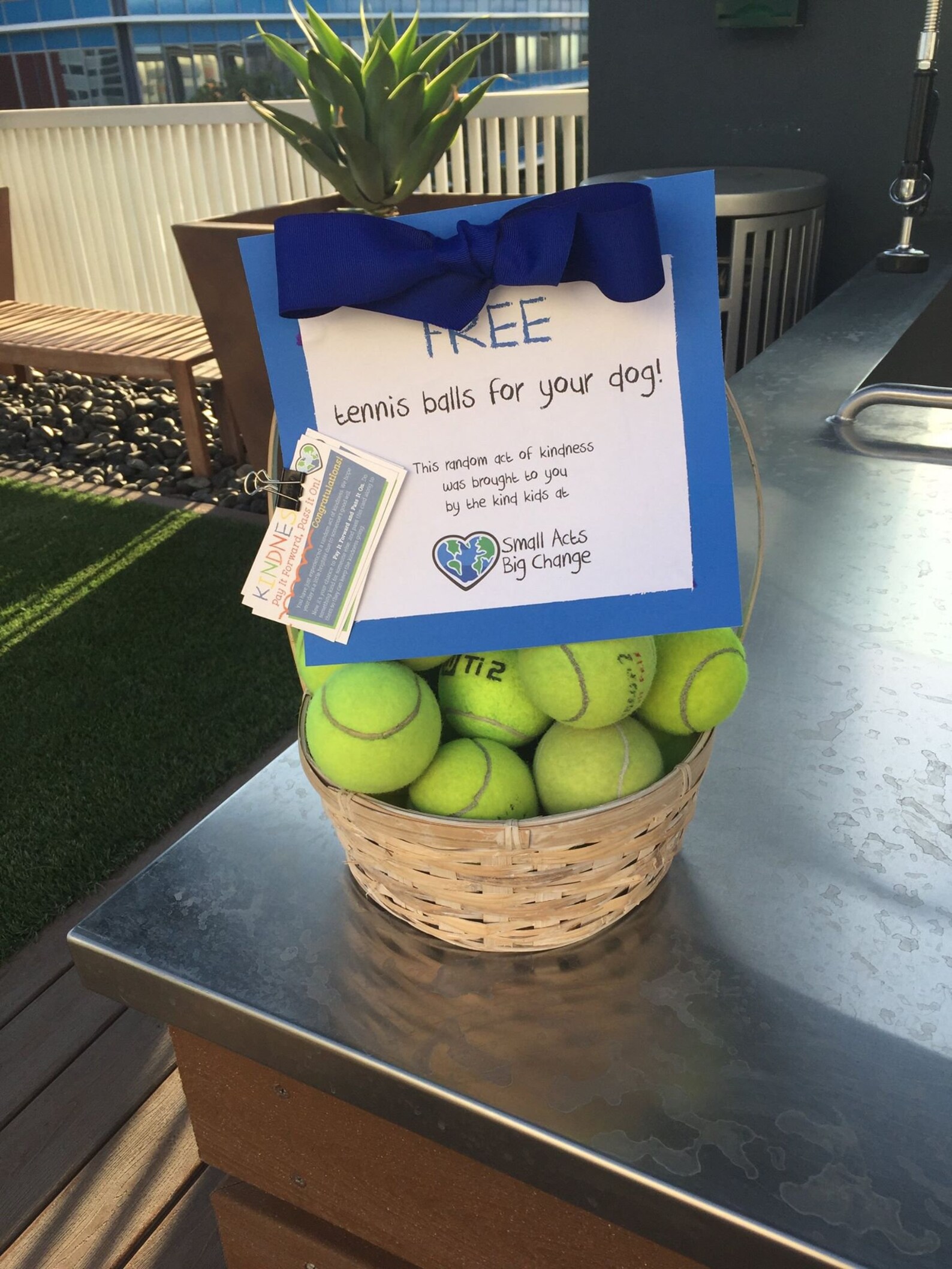 Printable Random Acts of Kindness Cards *pay It Forward Pass It on ...