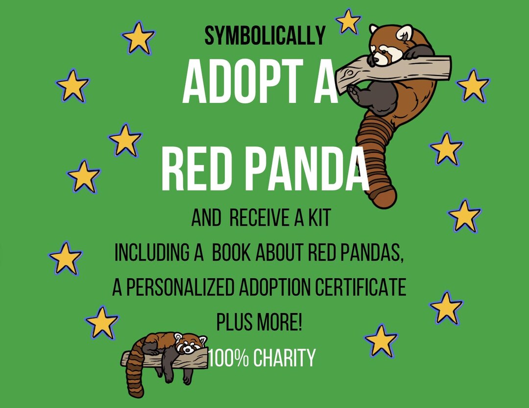 Symbolically ADOPT Rescue an Endangered RED PANDA * Includes Custom ...