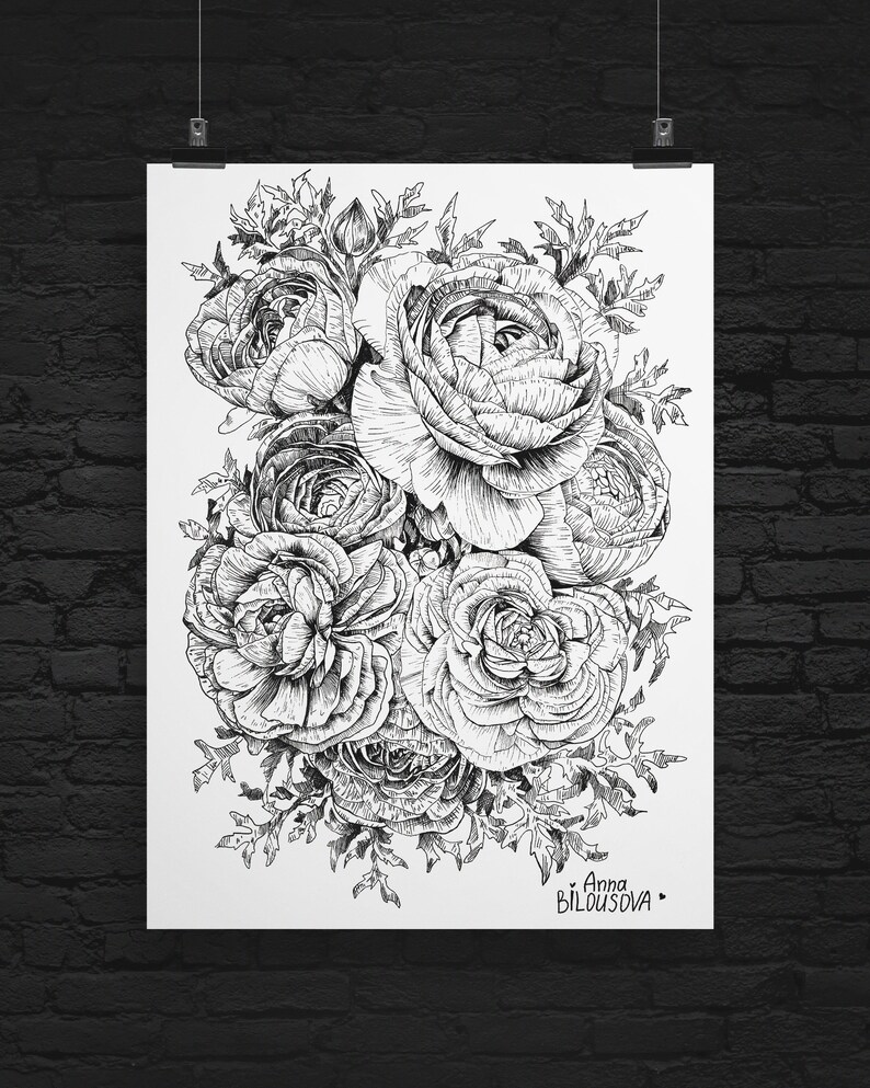 Ranunculus Digital Poster Black and White Graphic Drawing | Etsy