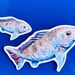 Red Snapper Sticker, Colored Pencil Marine Animal Snapper Original ...