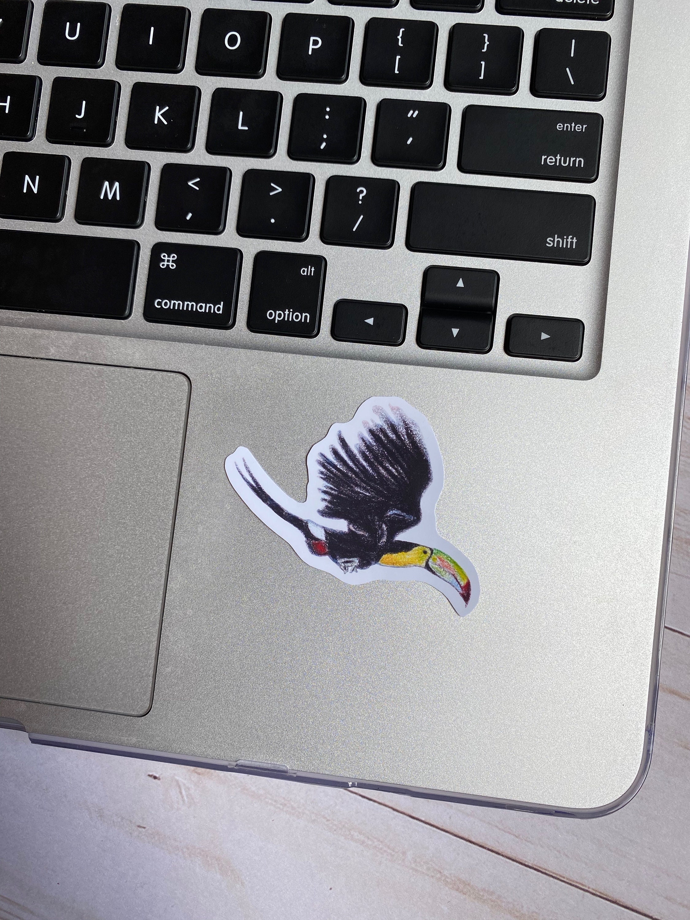 Toucan Sticker, Colored Pencil Animal Drawing, Jungle Wildlife Bird Art ...