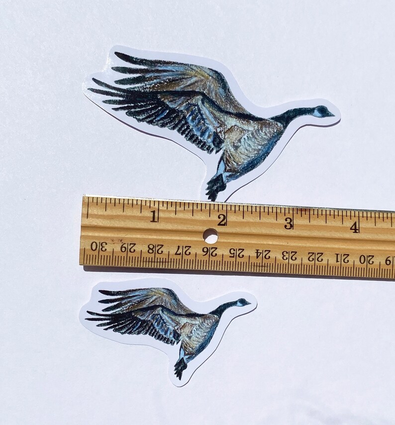 Canada Geese Stickers: Colored Pencil Bird Art Decals - Etsy