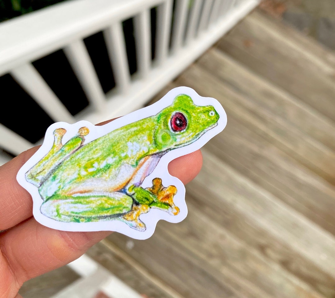 Red Eyed Tree Frog Sticker: Colored Pencil Animal Art - Etsy