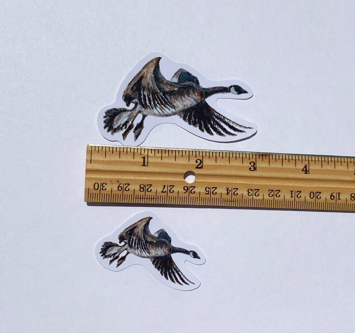 Canada Geese Stickers Colored Pencil Animal Drawing Sticker - Etsy