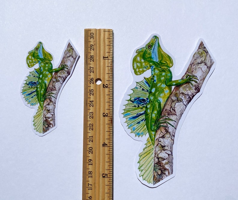Basilisk Lizard Sticker, Colored Pencil Animal Drawing, Wildlife Art ...