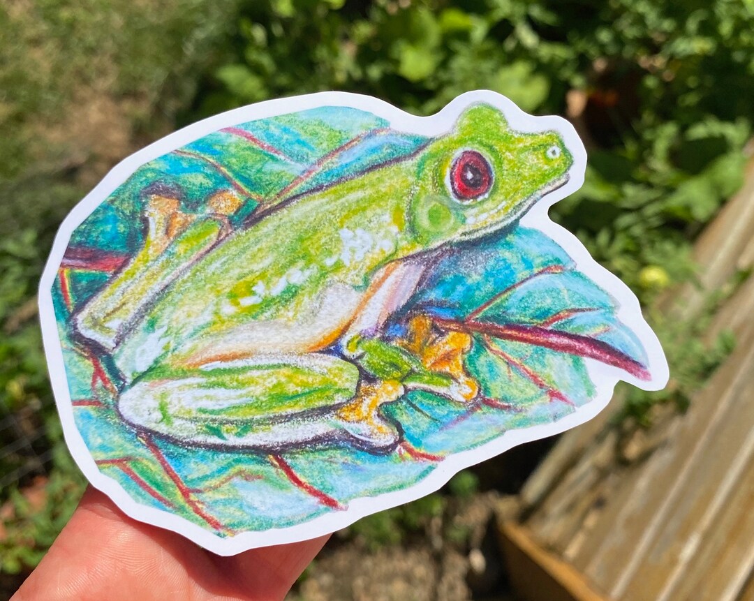 Red Eyed Tree Frog Sticker, Colored Pencil Tree Frog Original Drawing ...
