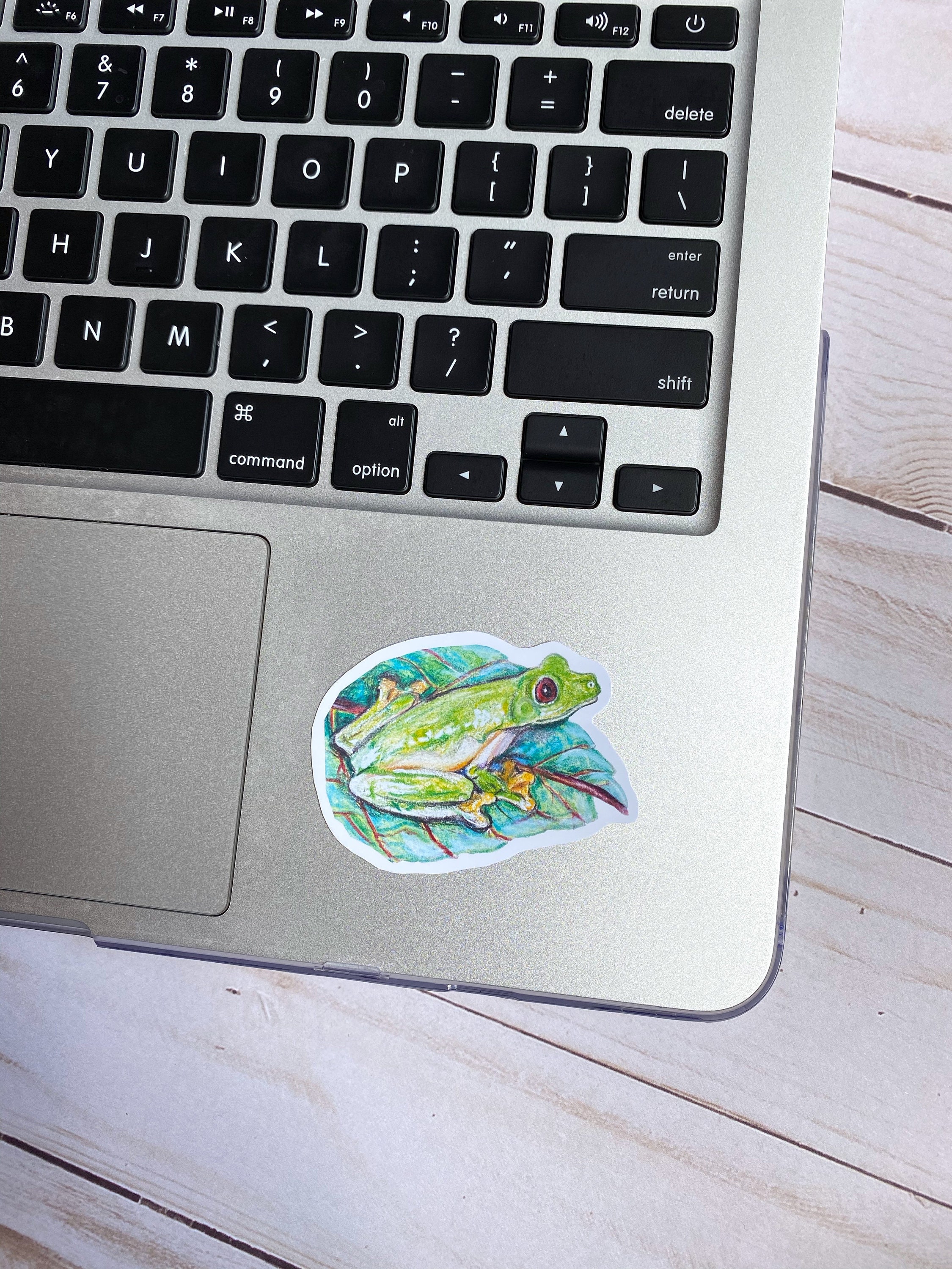 Red Eyed Tree Frog Sticker Colored Pencil Tree Frog Original - Etsy