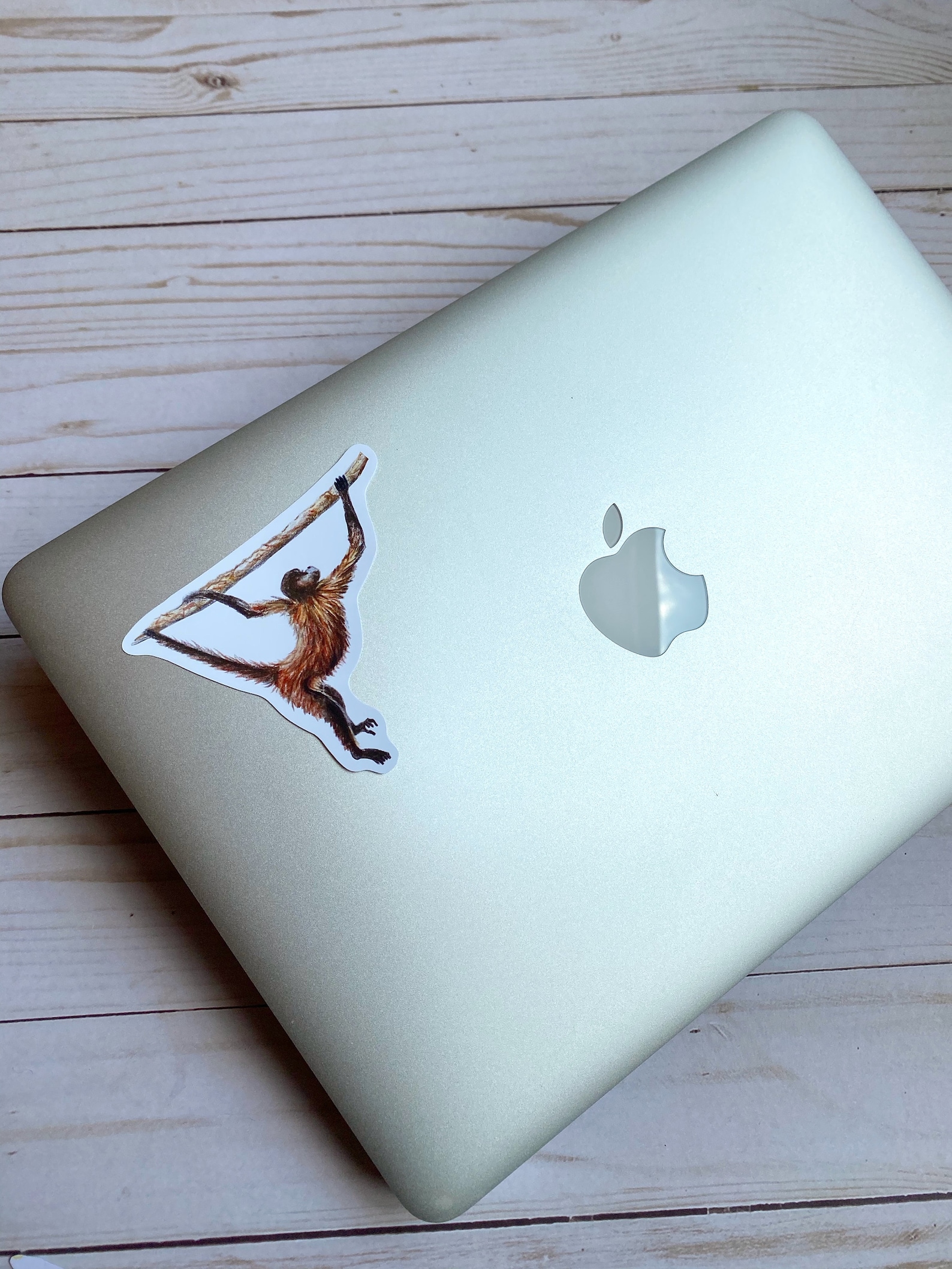 Spider Monkey Sticker, Colored Pencil Animal Drawing, Jungle Wildlife ...