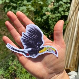Toucan Sticker, Colored Pencil Animal Drawing, Jungle Wildlife Bird Art ...