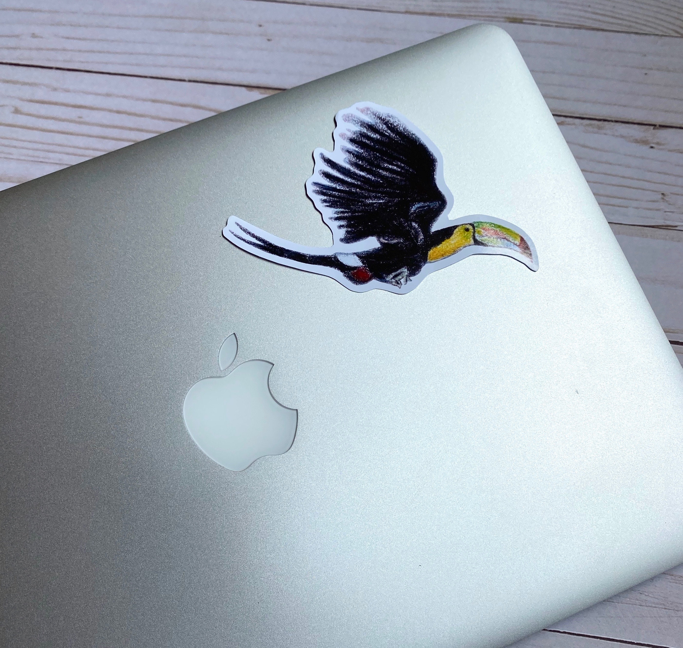 Toucan Sticker, Colored Pencil Animal Drawing, Jungle Wildlife Bird Art ...