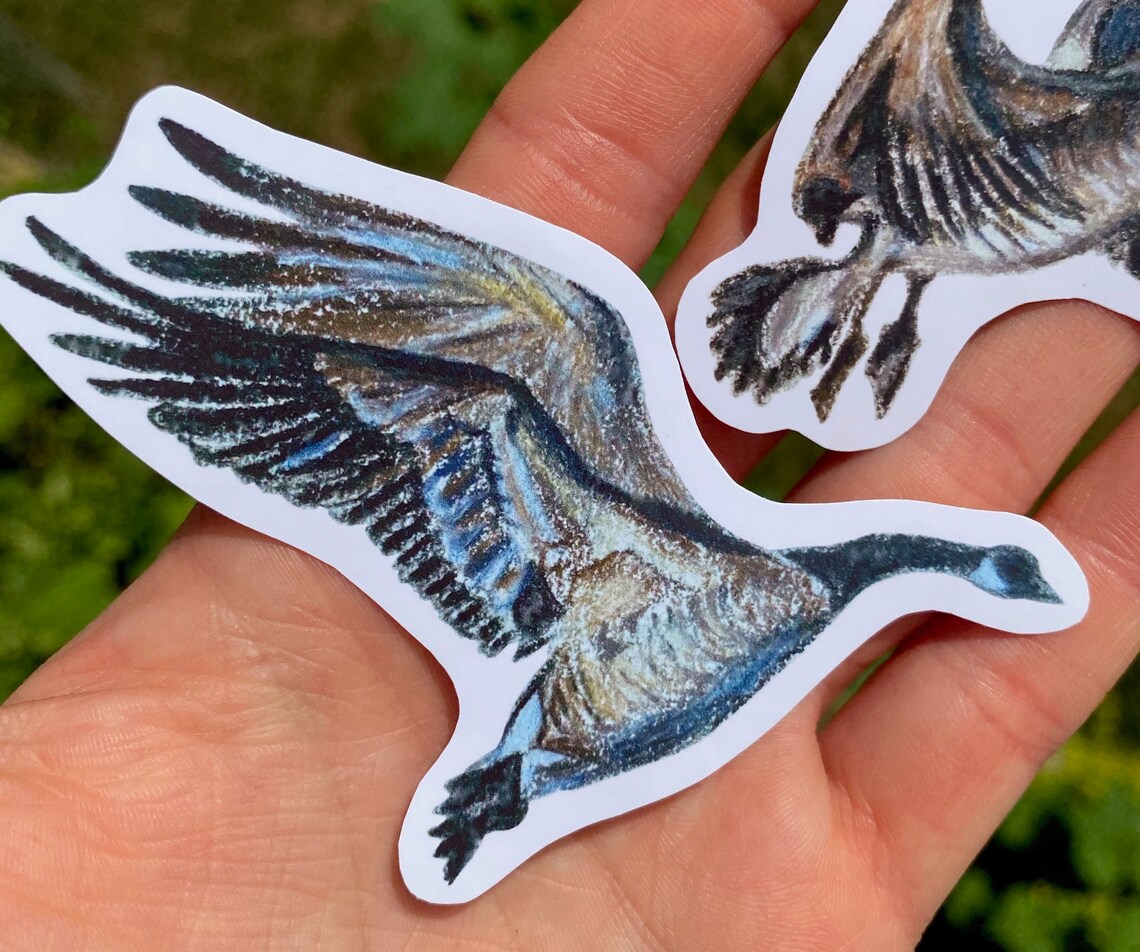 Canada Geese Stickers Colored Pencil Animal Drawing Sticker - Etsy