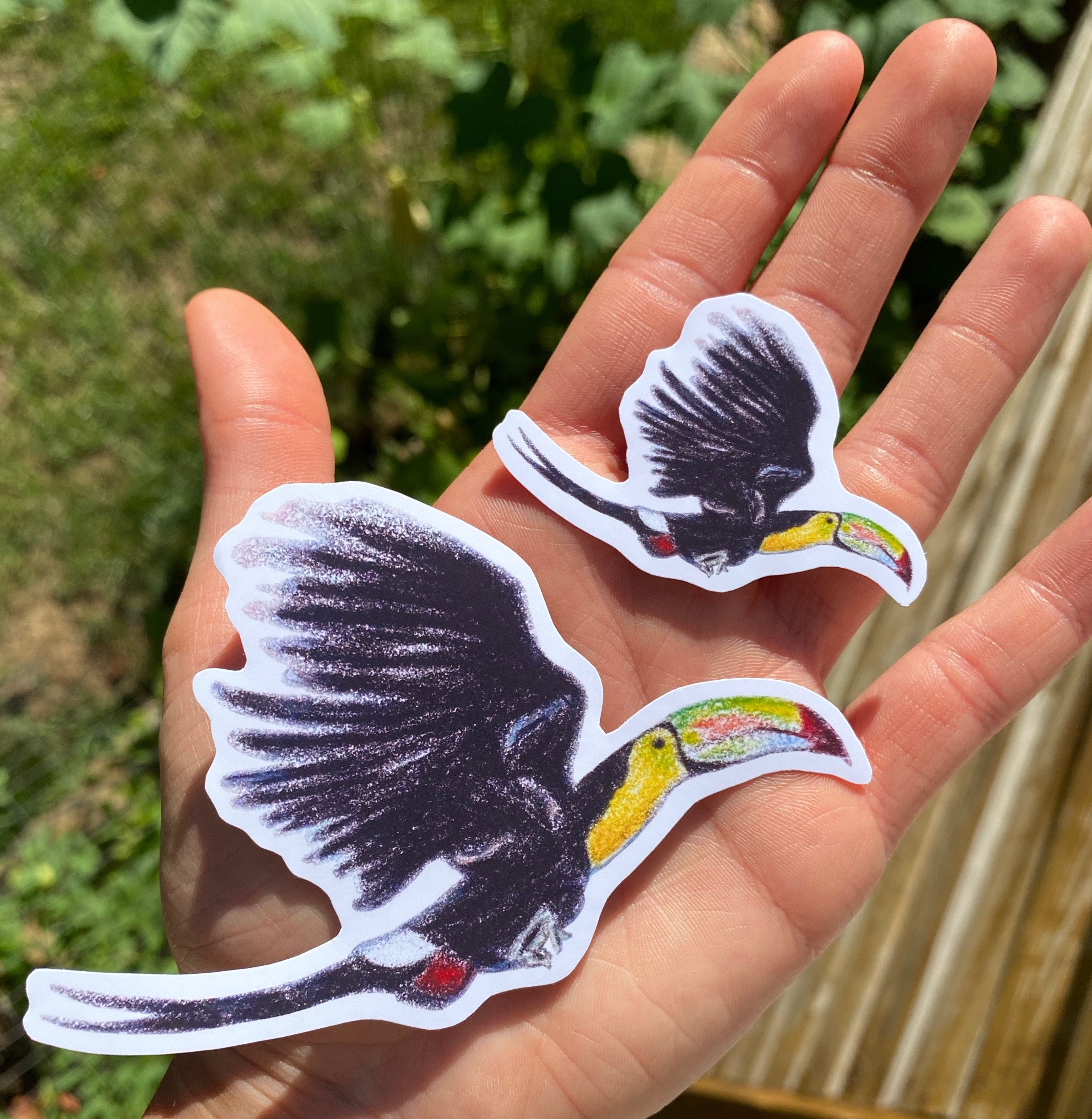 Toucan Sticker, Colored Pencil Animal Drawing, Jungle Wildlife Bird Art ...