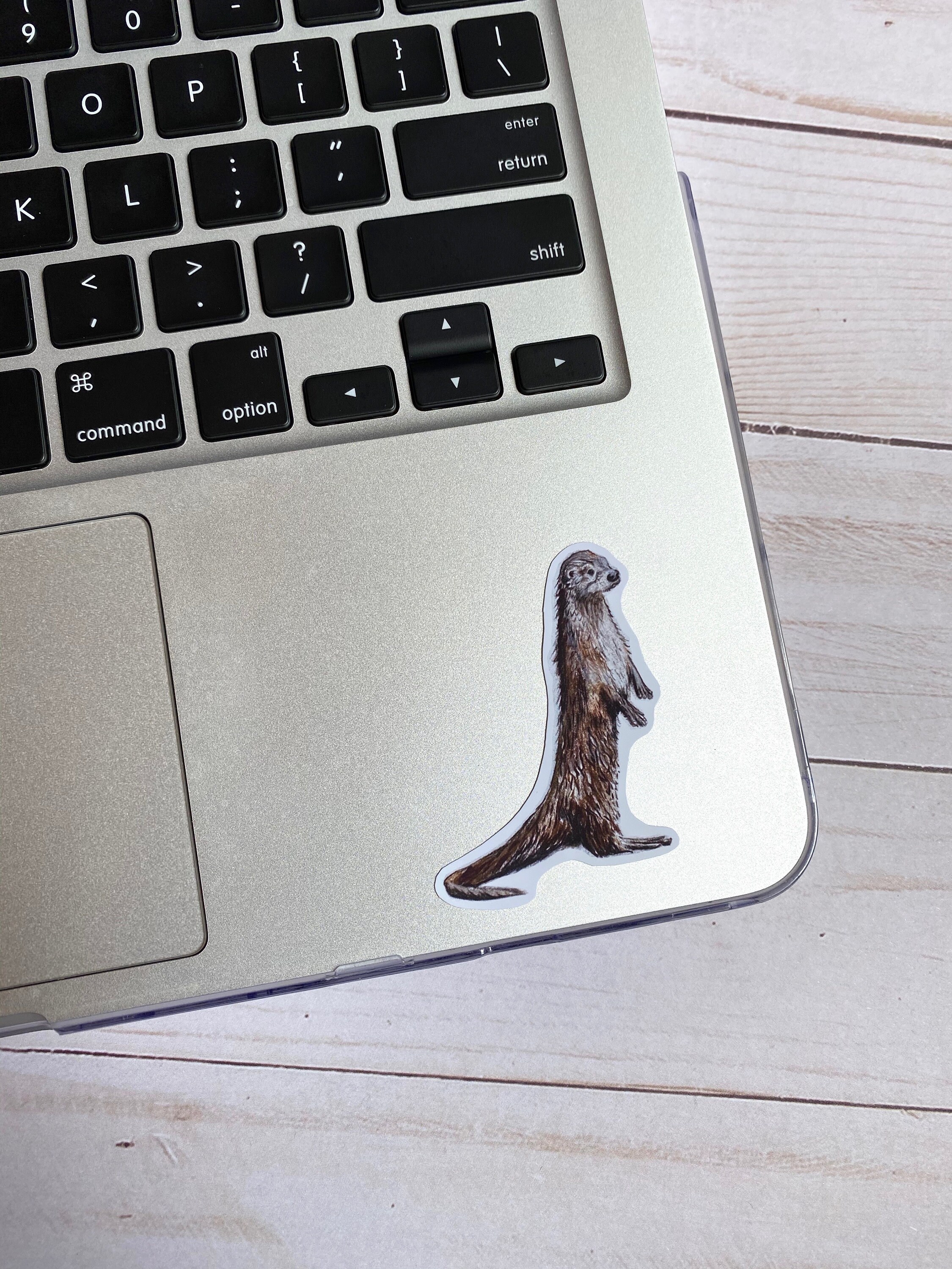 Otter Sticker, Colored Pencil Animal Drawing, Wildlife Art Laptop Decal ...