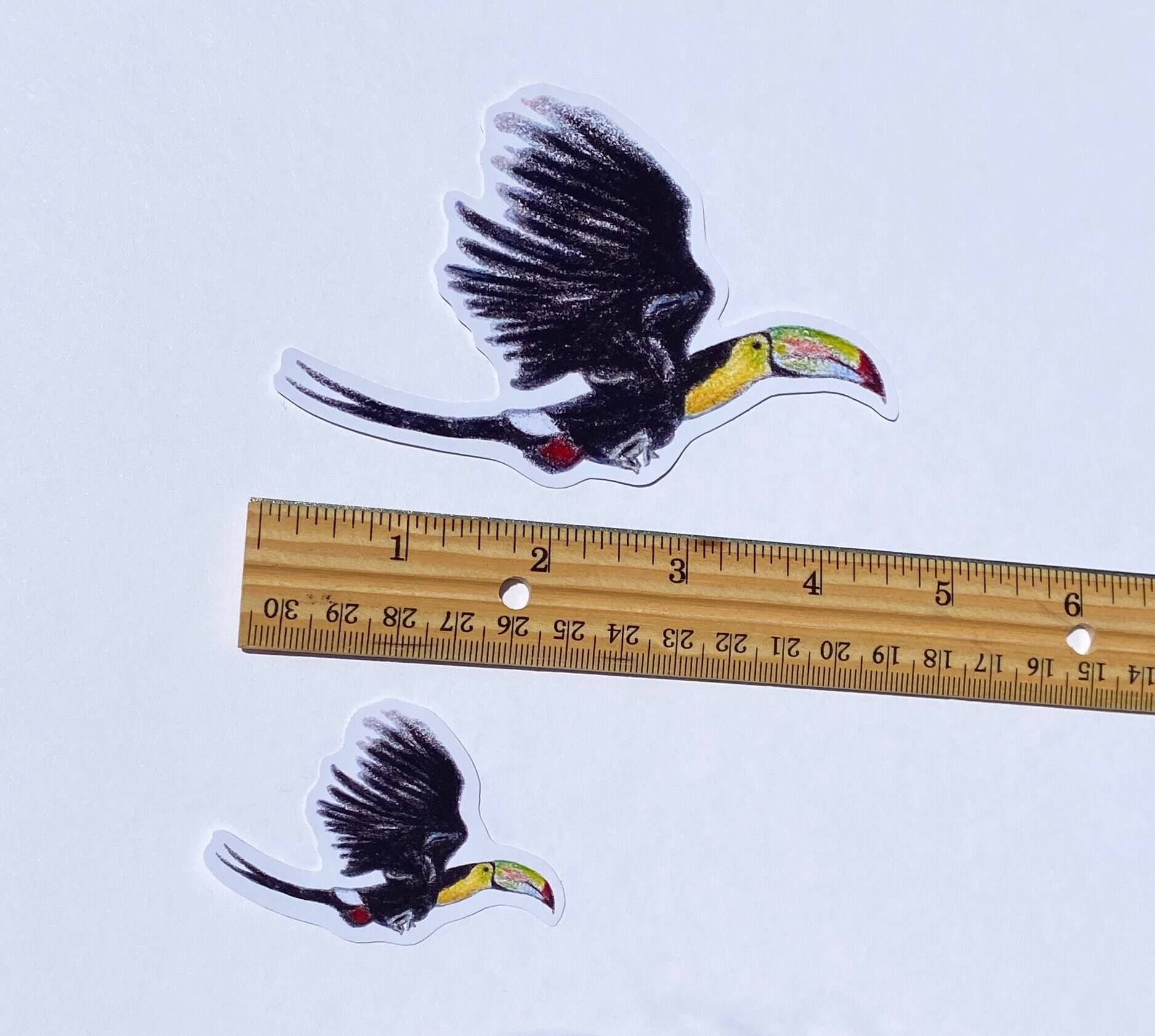 Toucan Sticker, Colored Pencil Animal Drawing, Jungle Wildlife Bird Art ...