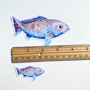Red Snapper Sticker, Colored Pencil Marine Animal Snapper Original ...