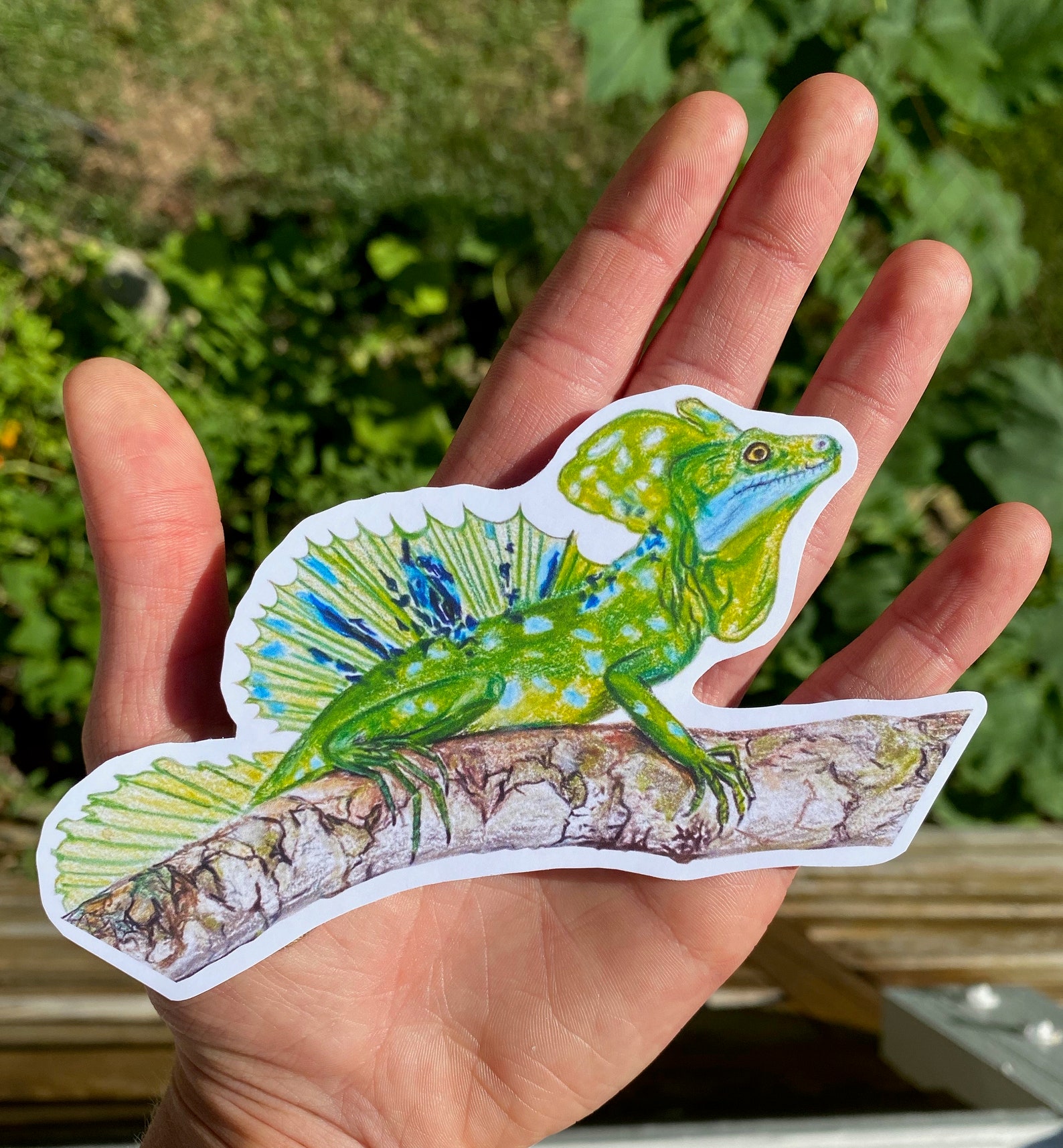 Basilisk Lizard Sticker, Colored Pencil Animal Drawing, Wildlife Art ...