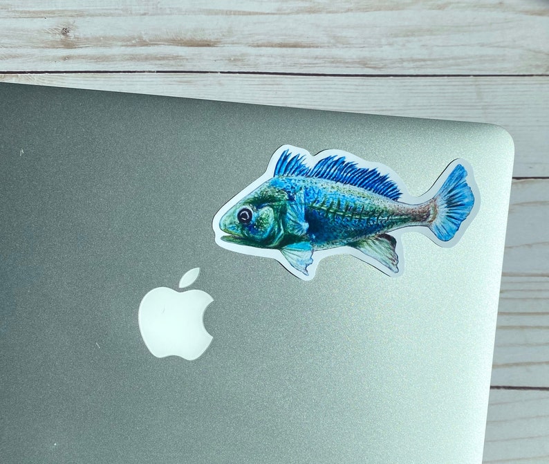 Fish Croaker Sticker, Colored Pencil Wild Animal Croaker Original ...