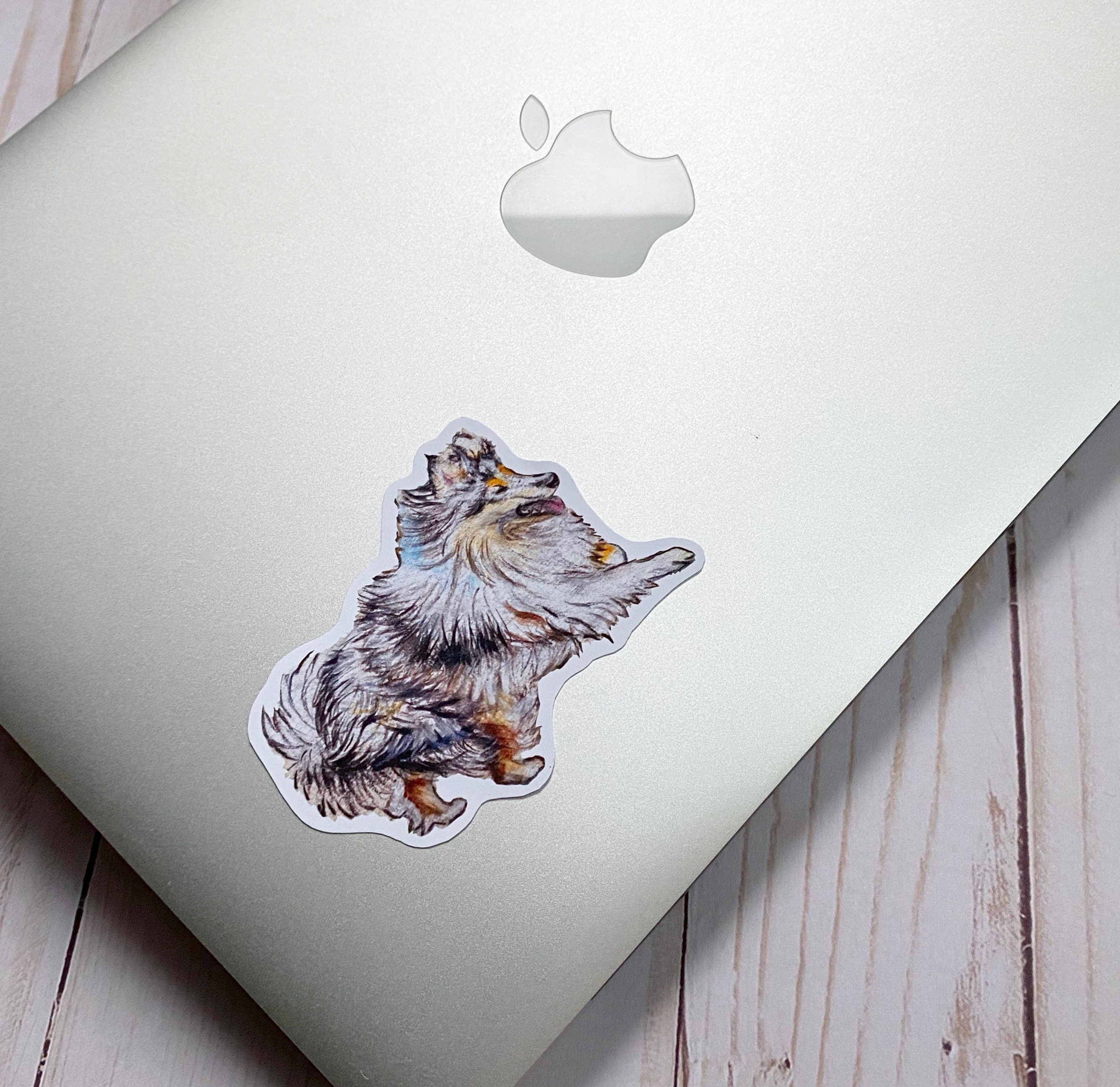 Sheltie Sticker Kleurpotlood Dierlijke Tekening Shetland - Etsy Nederland
