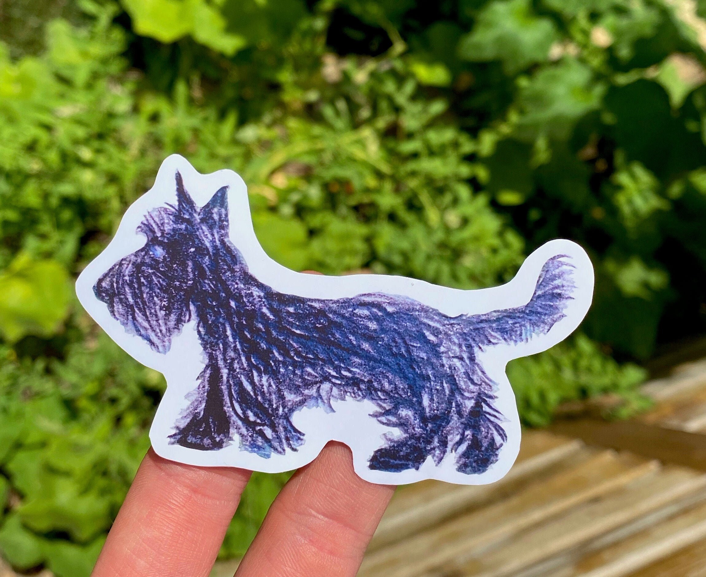Scottie Sticker, Colored Pencil Dog Drawing, Pet Animal Art Laptop ...