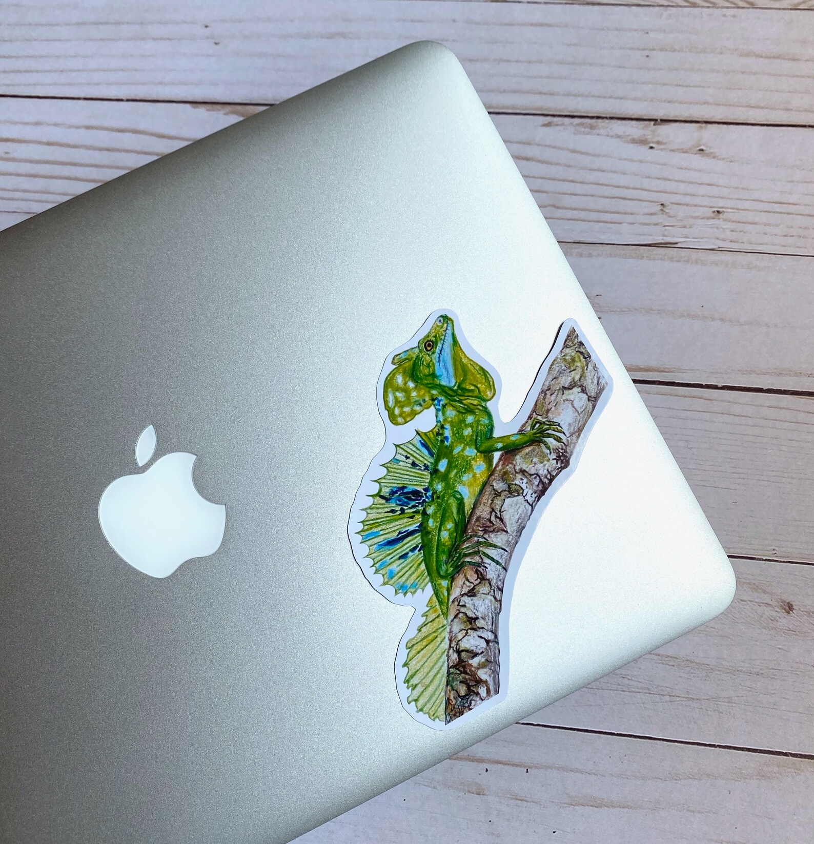 Basilisk Lizard Sticker, Colored Pencil Animal Drawing, Wildlife Art ...