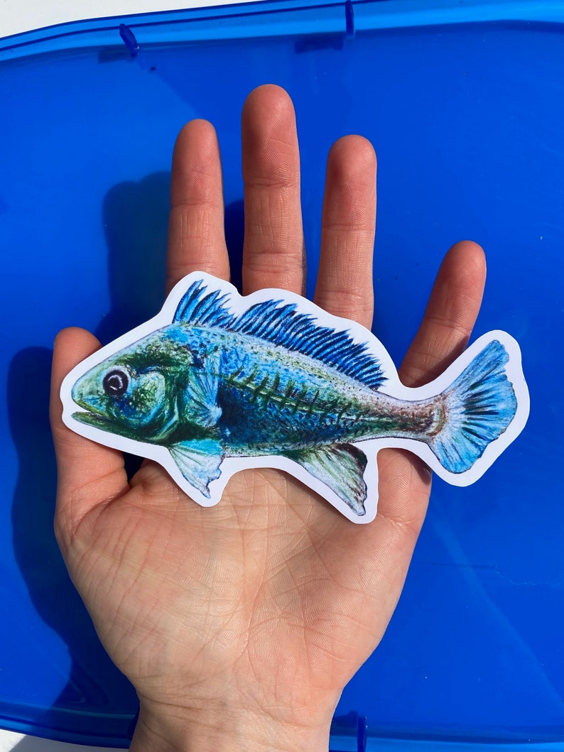 Fish Croaker Sticker, Colored Pencil Wild Animal Croaker Original ...