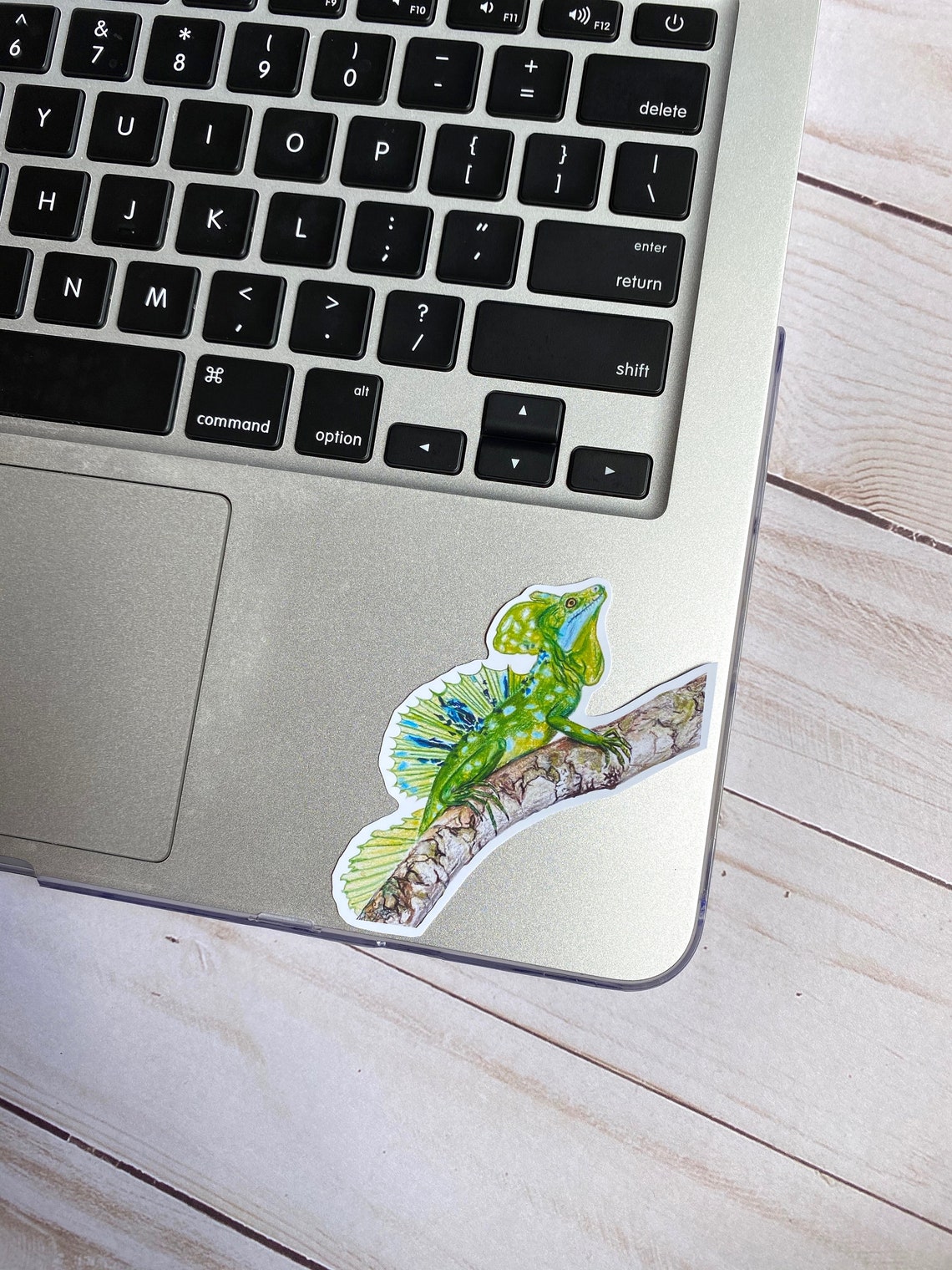 Basilisk Lizard Sticker, Colored Pencil Animal Drawing, Wildlife Art ...